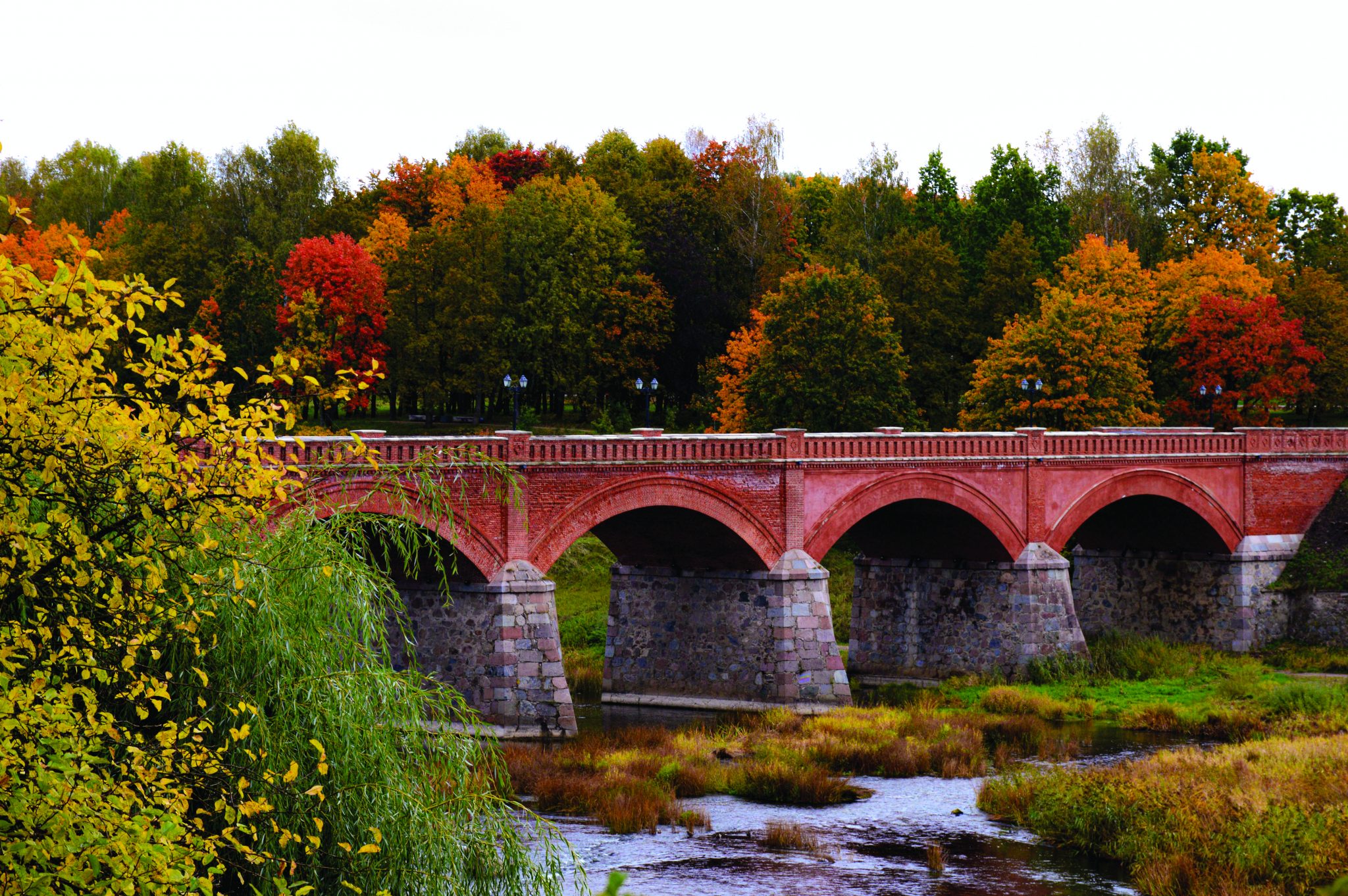 2020 Winners – ESWP