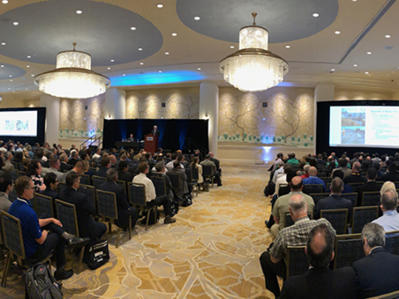 Bridge Home – ESWP